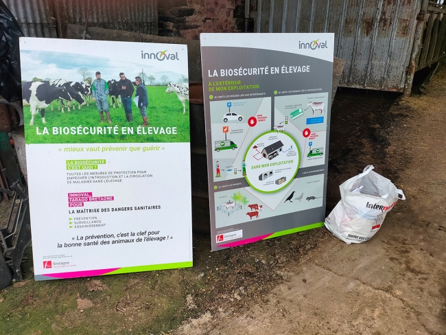 Assurer la biosécurité en élevage bovin