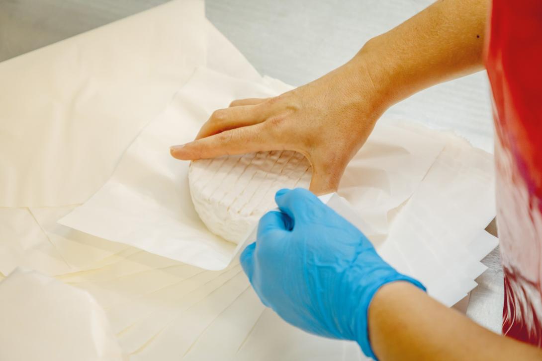 Plan de maîtrise sanitaire/guide des bonnes pratiques d'hygiène