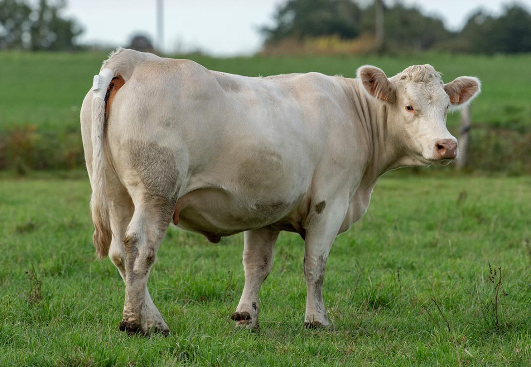 Kit SmartVel 2 Access indoor - 2 Capteurs