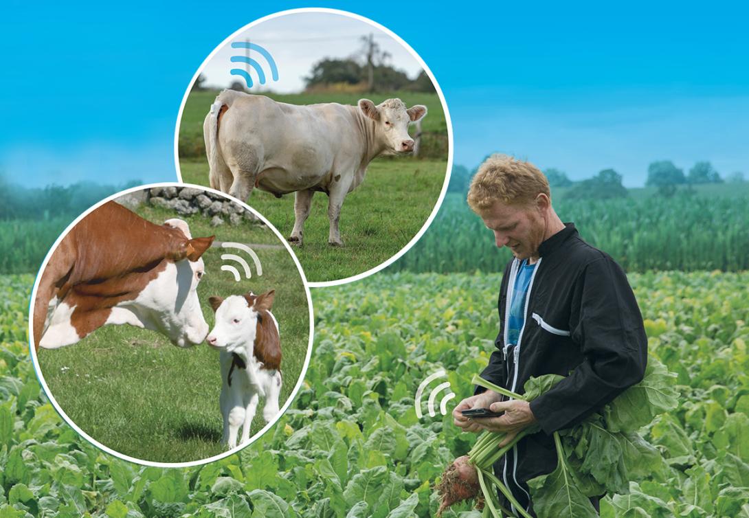 Kit SmartVel 2 Access indoor - 2 Capteurs