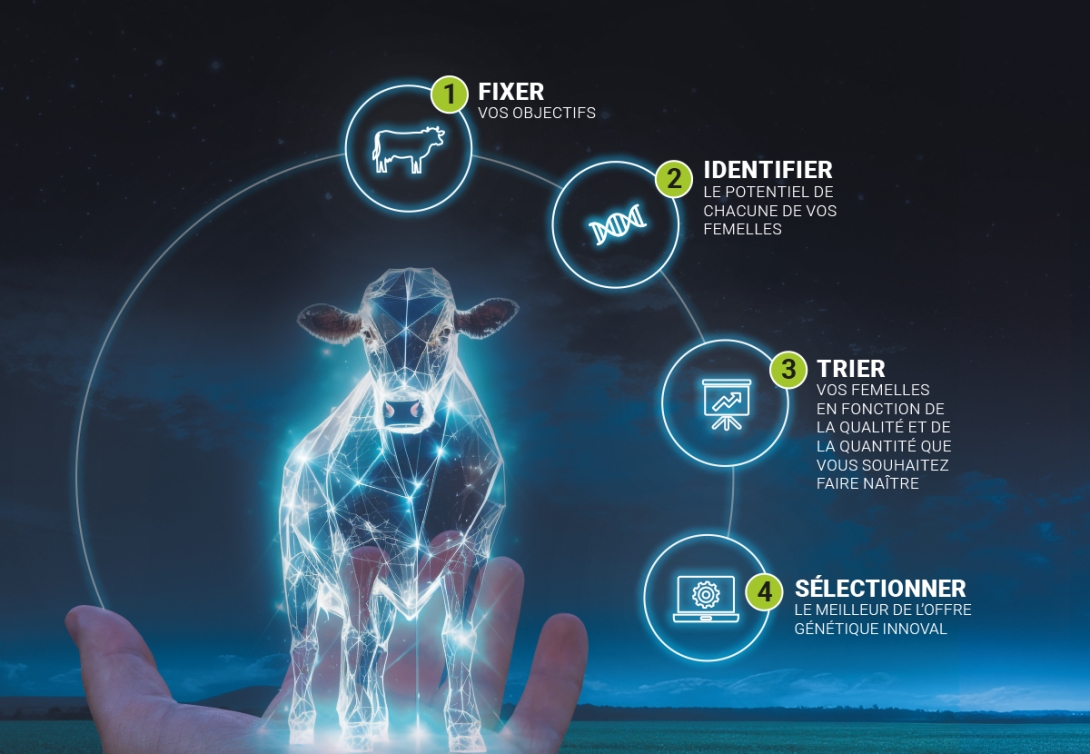 MSR : La visite de renouvellement par INNOVAL