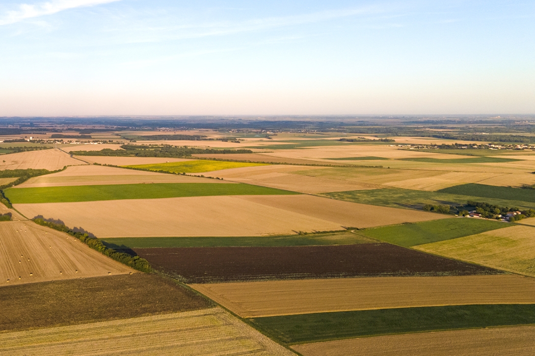 Réduire les pesticides sur son exploitation à travers l'IFT ...